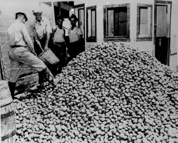 Photo and Video Gallery | The Doxsee Family Legacy