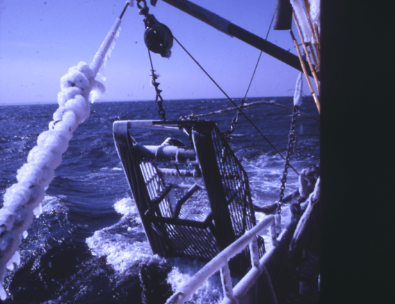 Photo and Video Gallery | The Doxsee Family Legacy