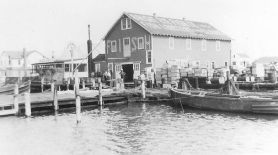 Photo and Video Gallery | The Doxsee Family Legacy